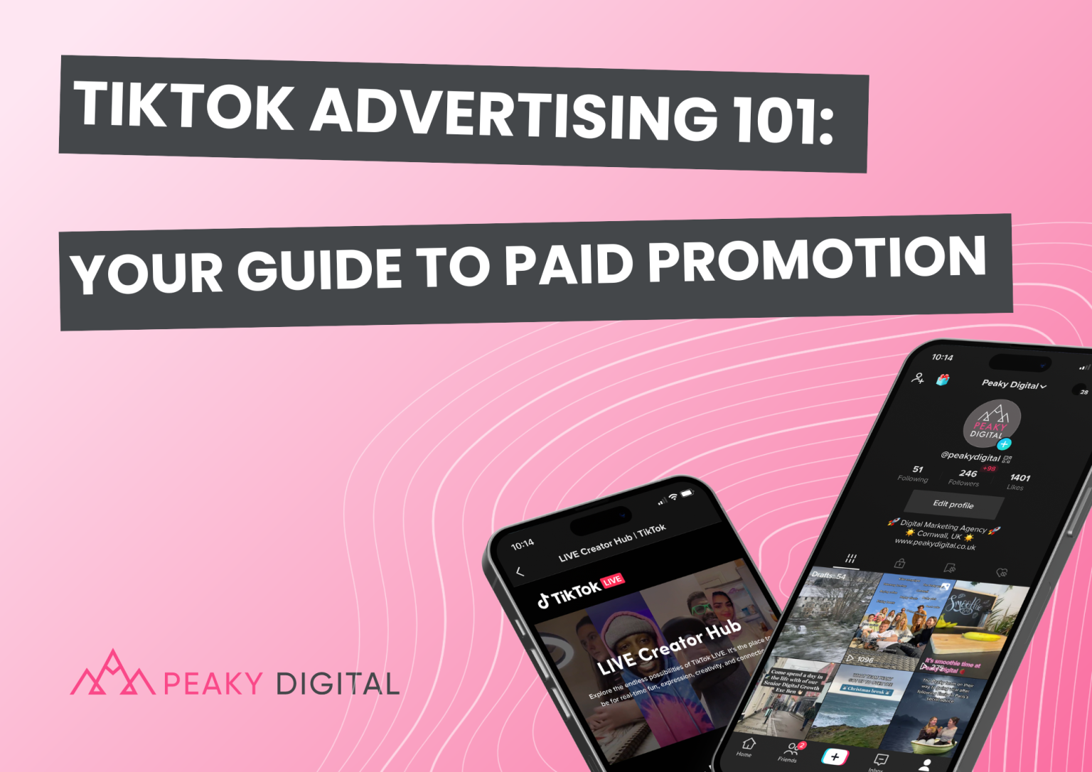 TikTok Advertising 101: Your Complete Guide to Paid Promotion - Peaky Digital